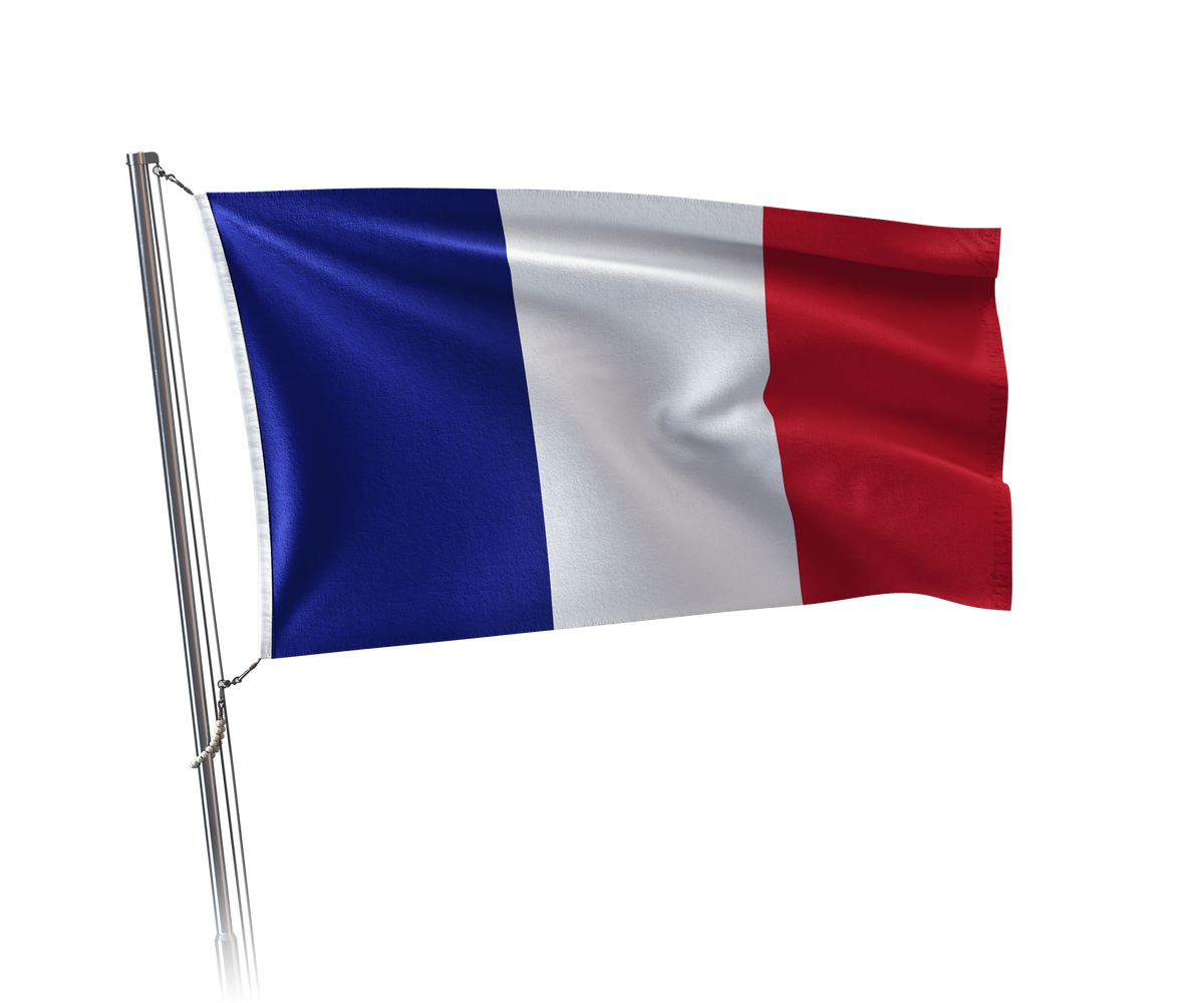 Animated Waving French Flag Vertical National Flag France Animation